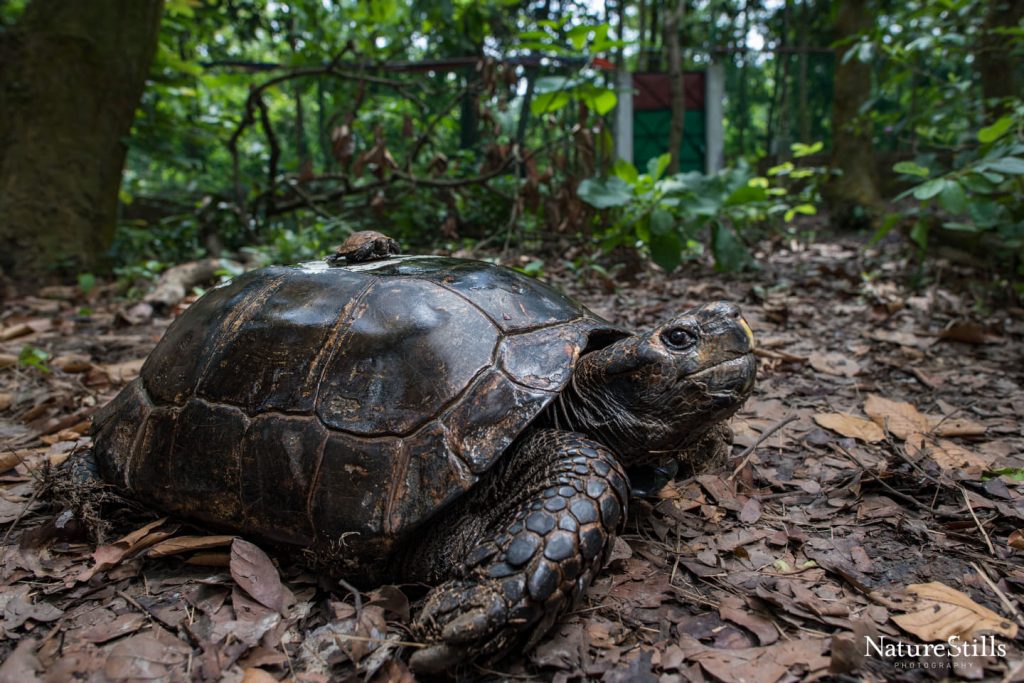 Featured Projects and Grant Winners - HOLOHIL